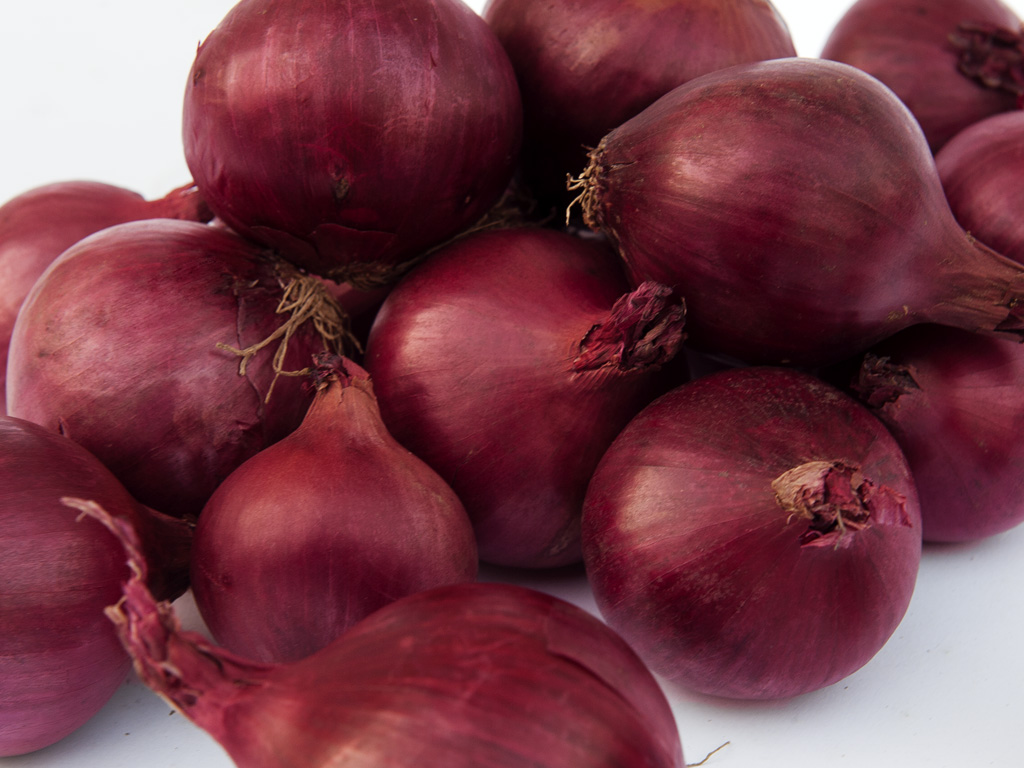 Cebula czerwona AGROSAD - Pozostałe warzywa
